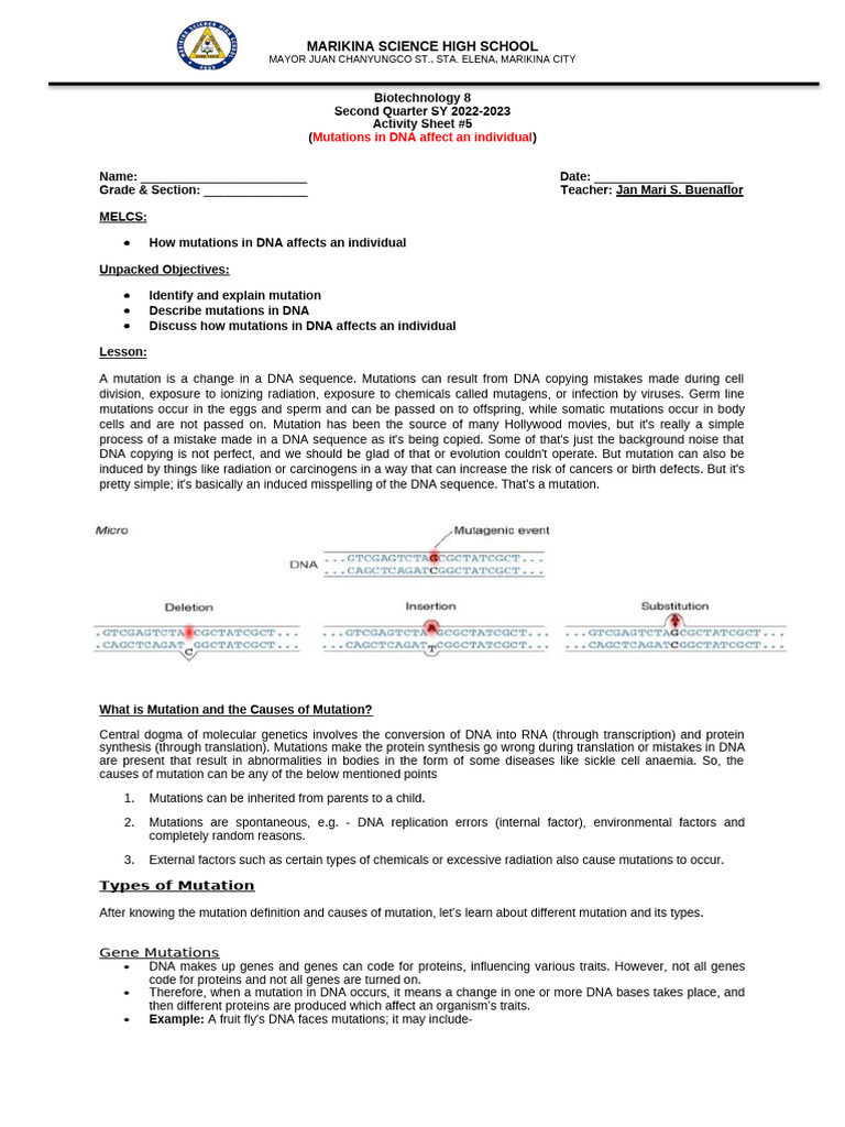Q2 Activity Sheet #5 (MUTATIONS IN DNA) | PDF | Mutation | Gene