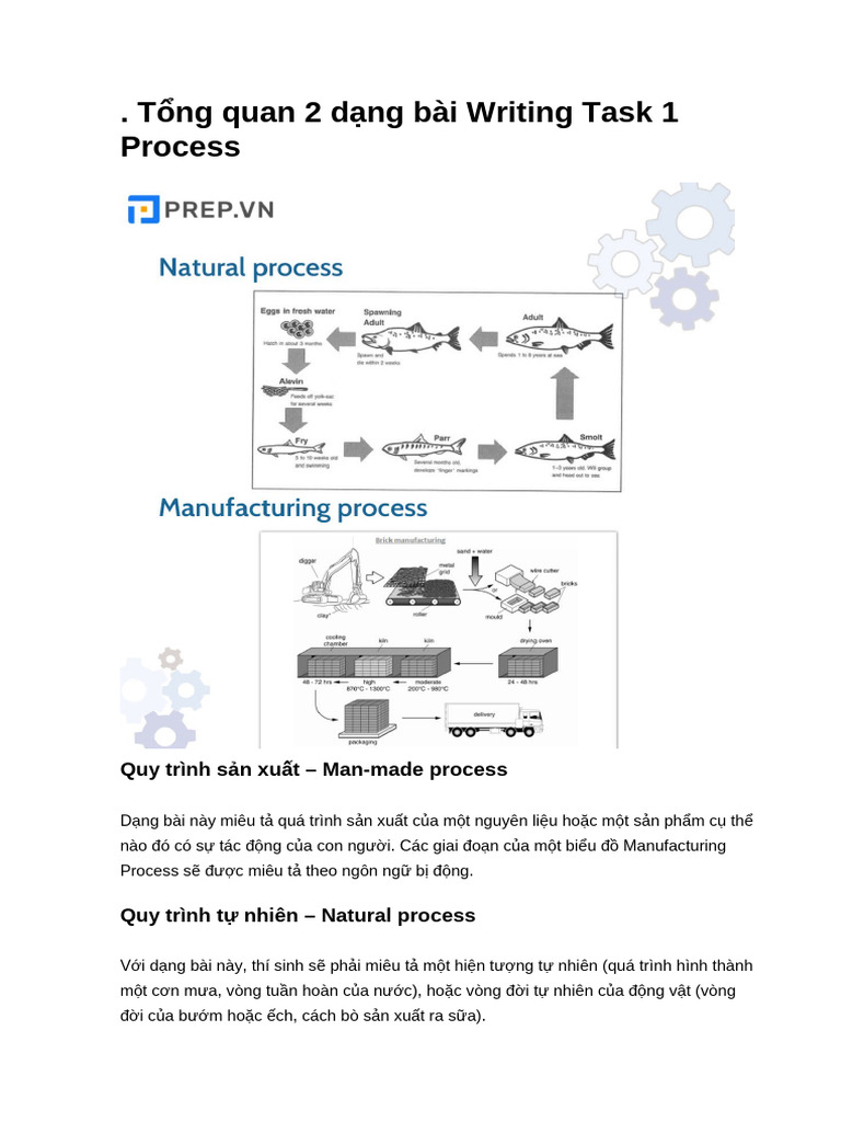 T NG Quan 2 D NG Bài Writing Task 1 Process | PDF