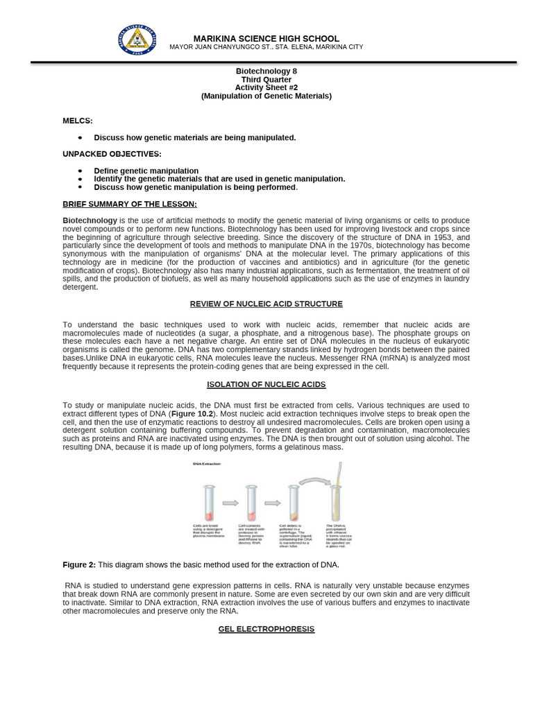 Q3 Activity Sheet #2 (Manipulation of Genetic Materials) | PDF | Gel ...