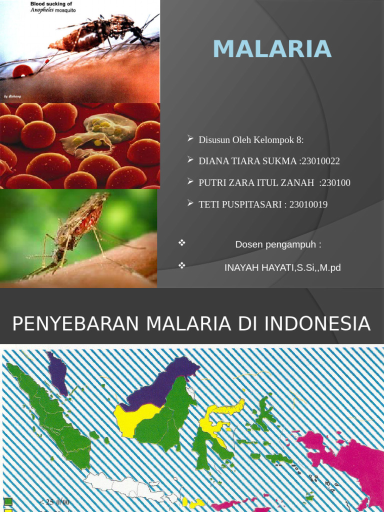ppt proto MALARIA | PDF
