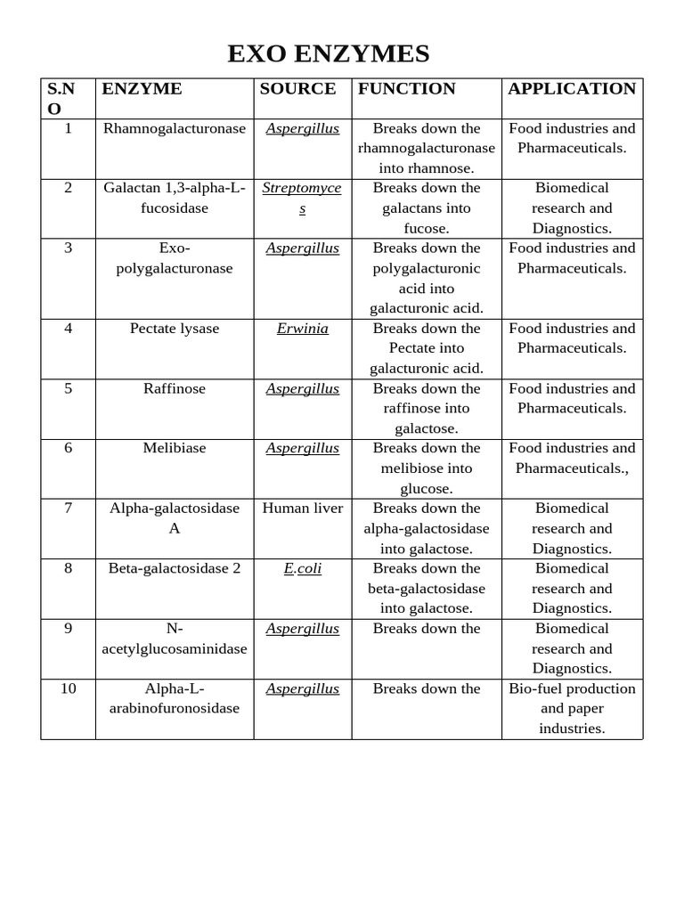 Exo Enzymes | PDF