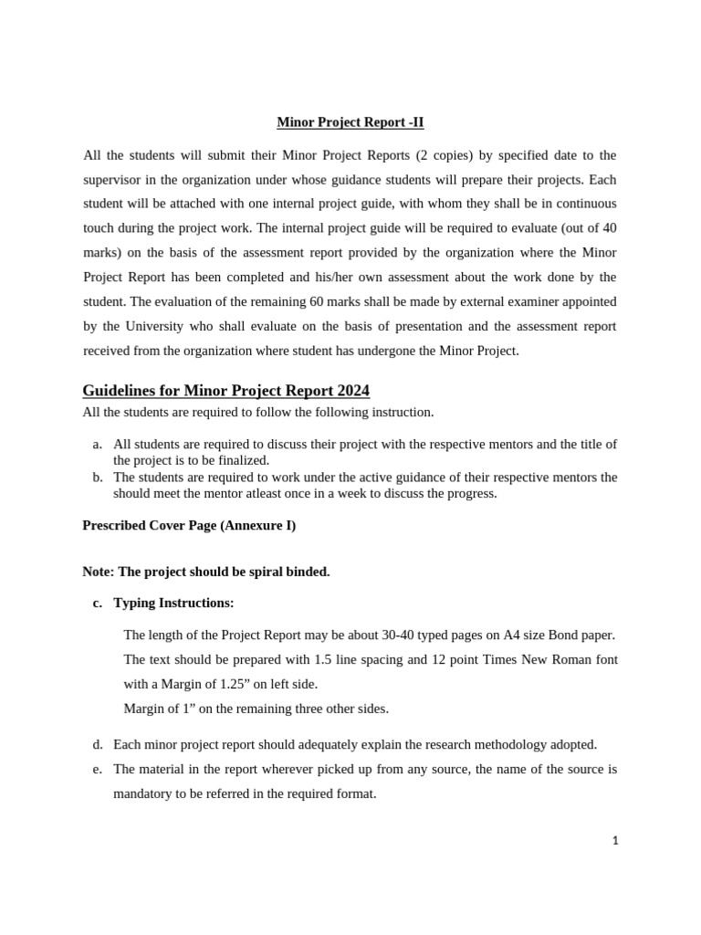 Minor Project Guidelines | PDF | Marketing | Marketing Strategy