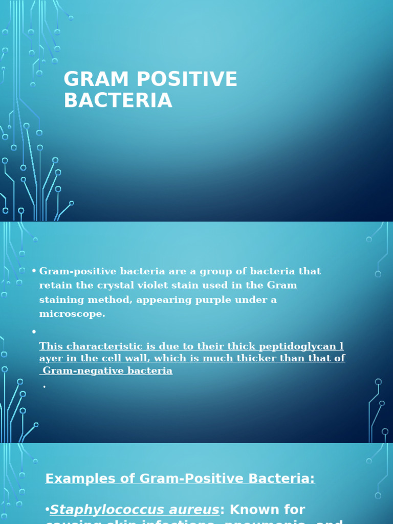 Gram Positive Bacteria | PDF