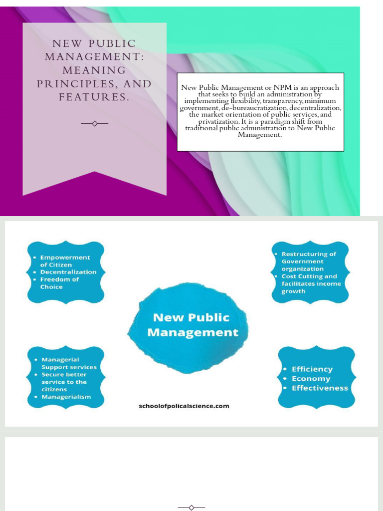 New Public Management | PDF