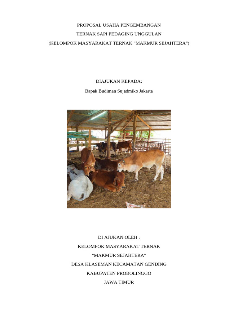PROPOSAL USAHA PENGEMBANGAN SAPI TERNAK | PDF