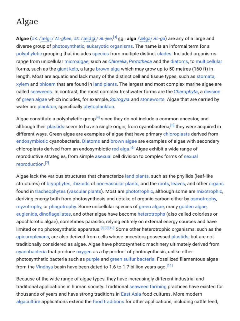 Algae | PDF