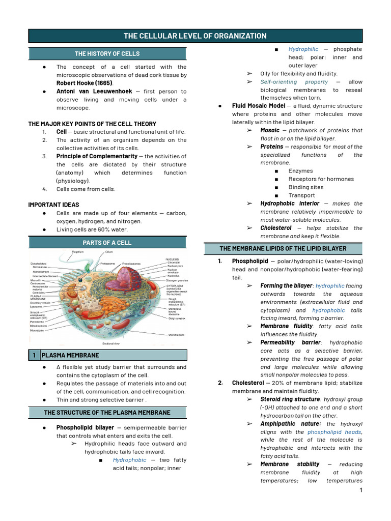THE CELLULAR LEVEL OF ORGANIZATION [[COMPLETE] | PDF