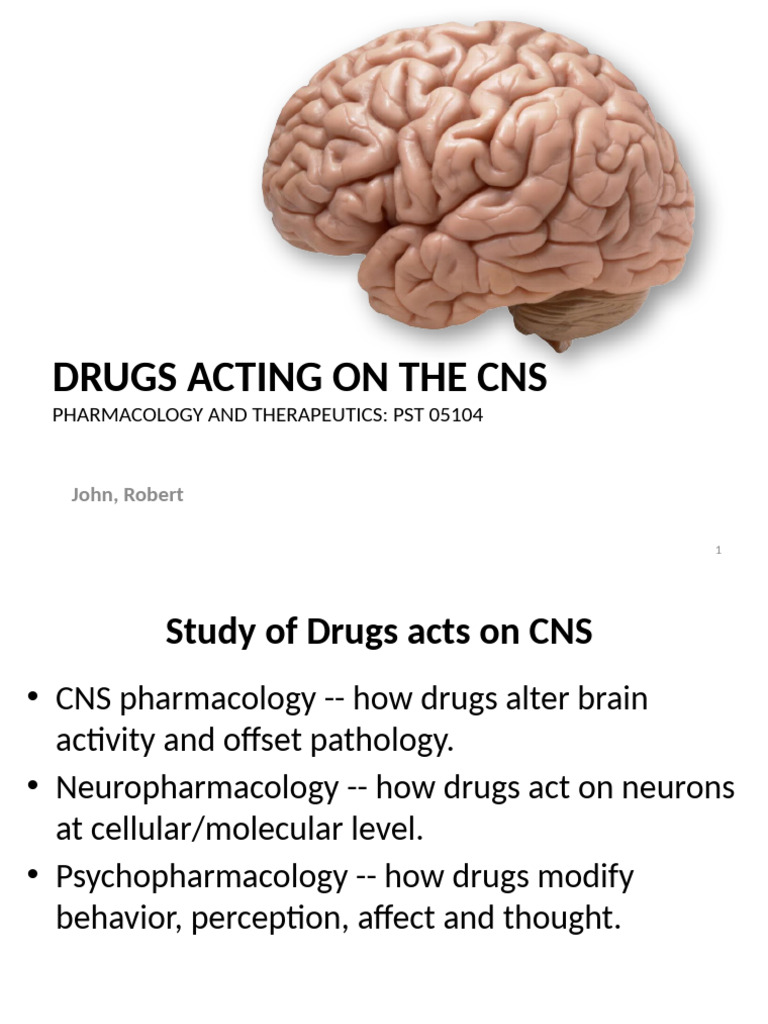 4-Intro in CNS Drug | PDF