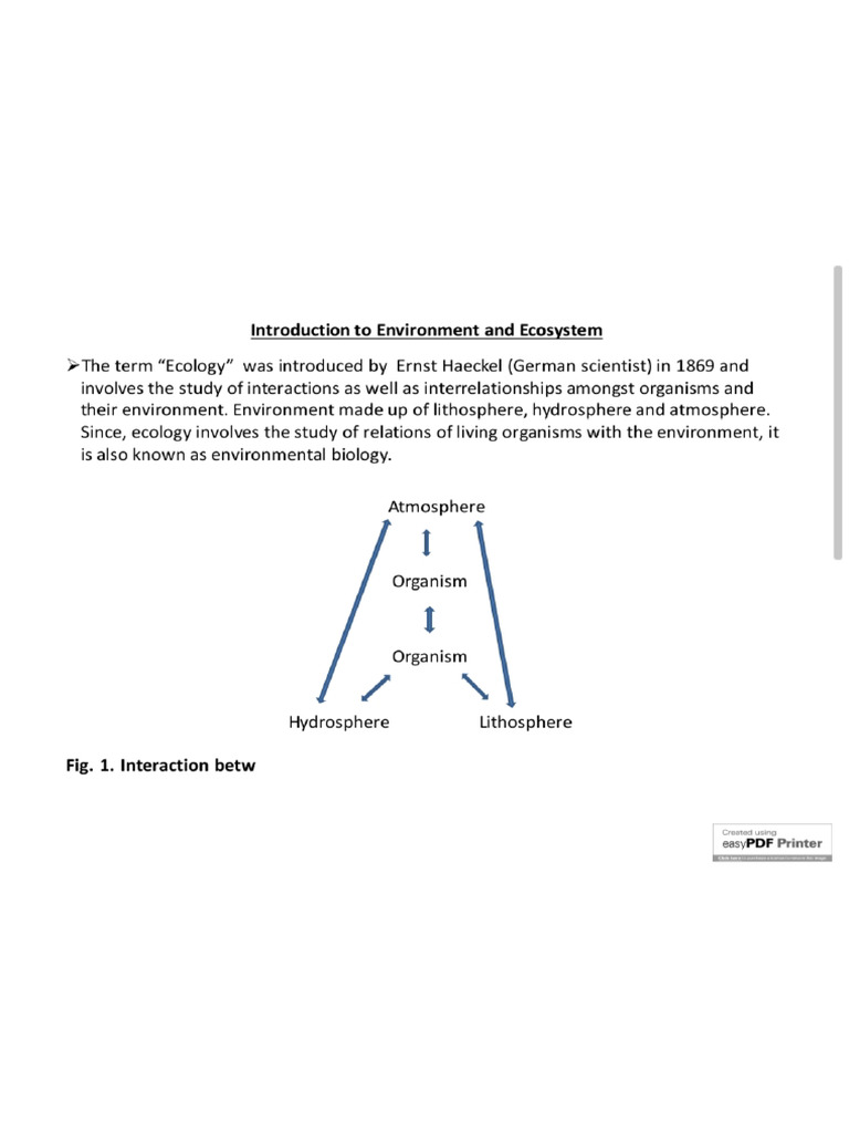 Ecosystem | PDF