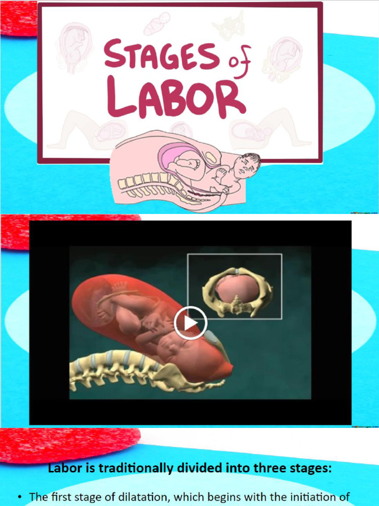 Stages of Labor | PDF