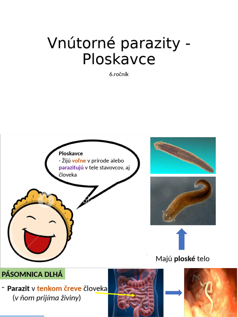 Vnútorné Parazity - Ploskavce, Hlístovce | PDF