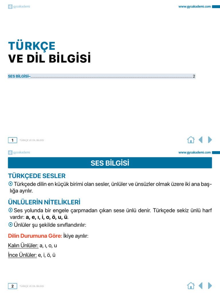 Turkce Ses Bilgisi | PDF