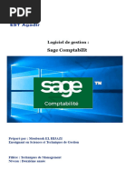Sage 100 Comptabilité I7 Guide | PDF | Comptabilité | Budget
