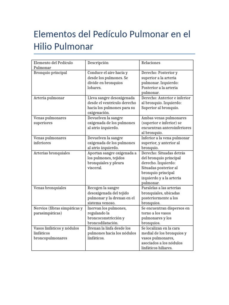 Pediculo Pulmonar Hilio Pulmonar Rouviere | PDF