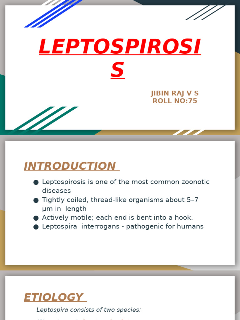 Lepto | PDF