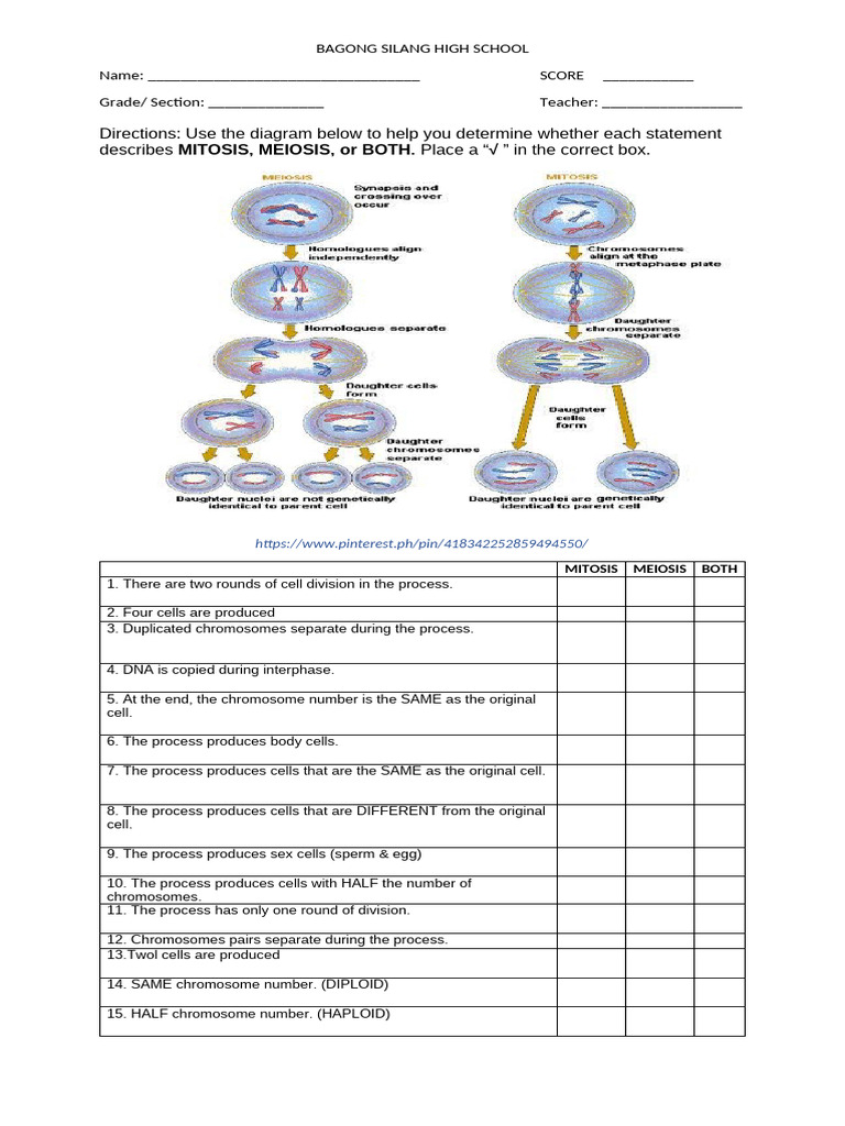 COMPARING MITOSIS-MEIOSIS WORKSHEET | PDF