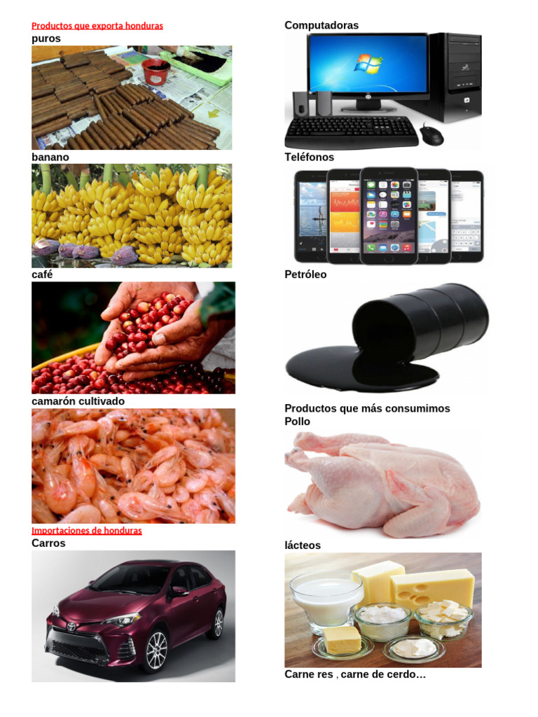 Productos Que Importa Honduras | PDF | Cocina, comidas y vino
