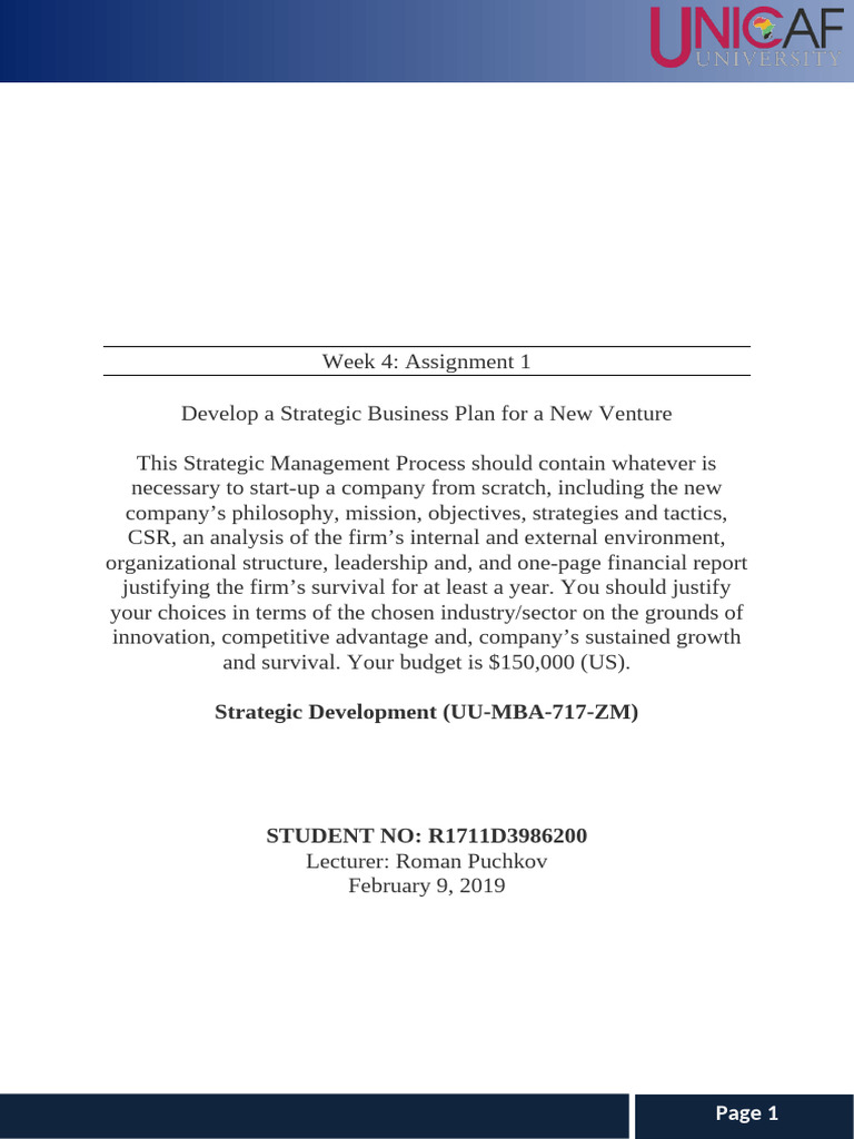 Example Strategic Business PL | PDF