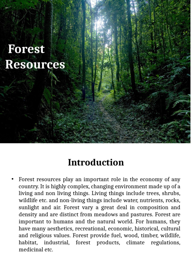 Unit2-Forest Resources | PDF