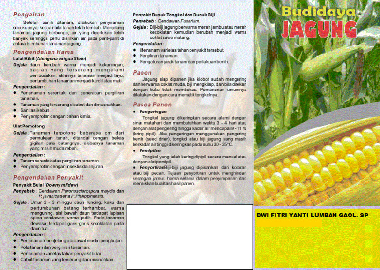 jagung | PDF