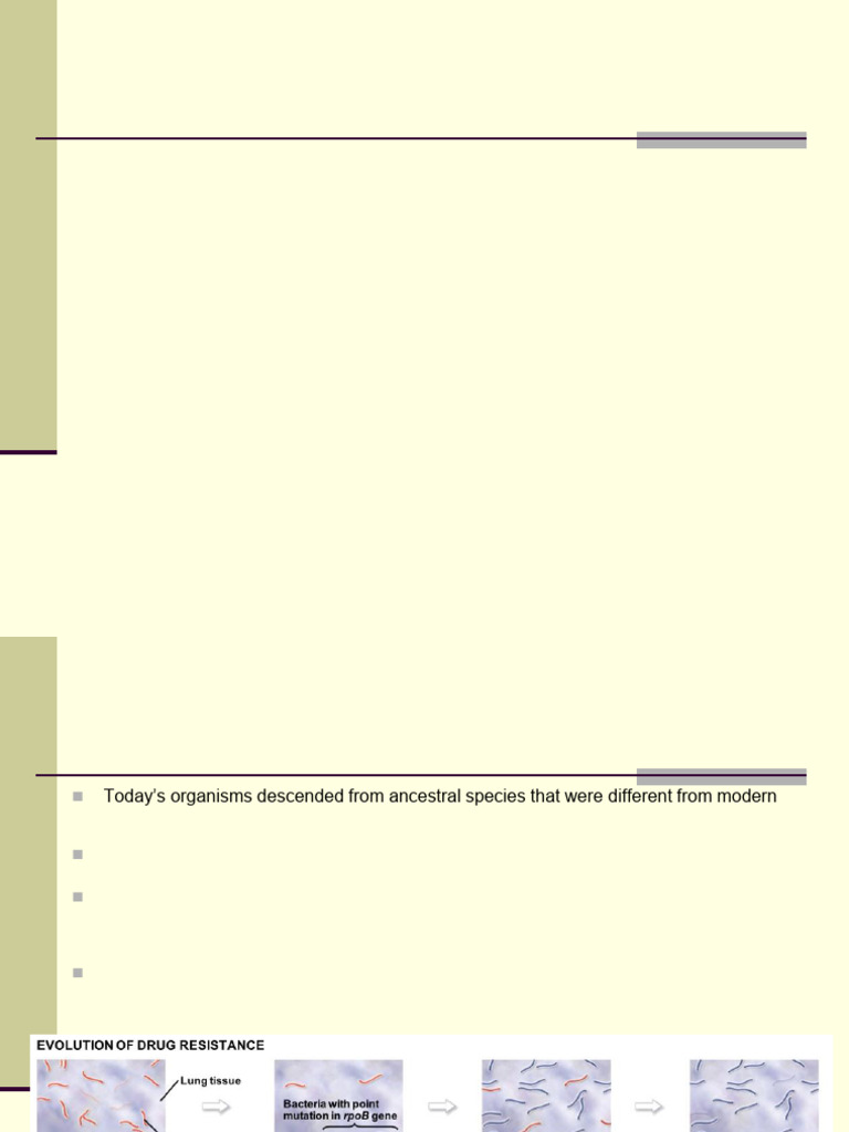 SN2_Lect_2_Evolution | PDF