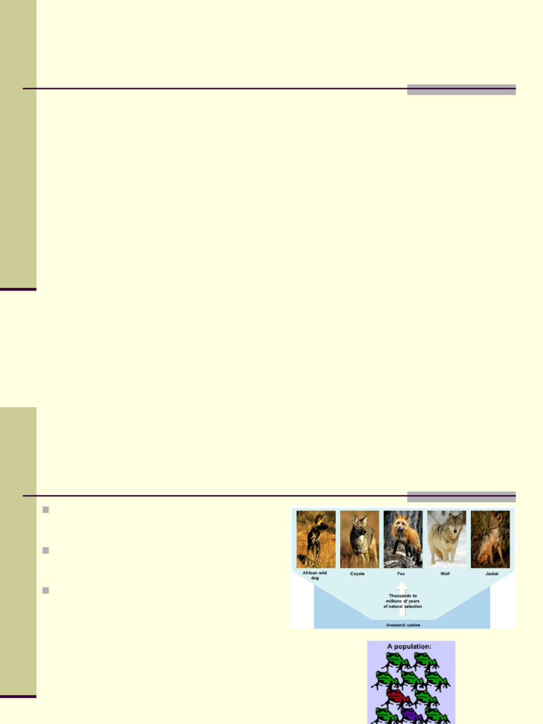 SN2 Lect 3 Microevolution | PDF | Dominance (Genetics) | Zygosity