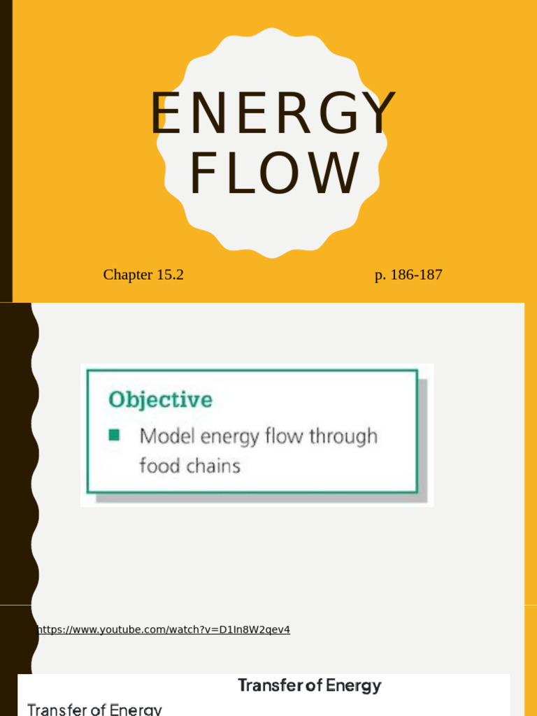 15.2 Energy Flow | PDF