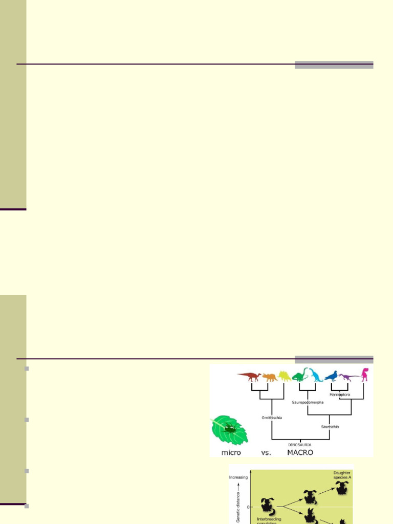 SN2 Lect 4 Macroevolution | PDF | Phylogenetic Tree | Phylogenetics