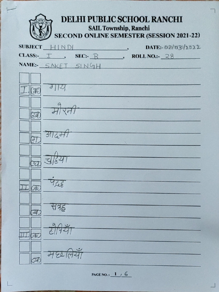 Hindi 1B Saket Singh 28 | PDF