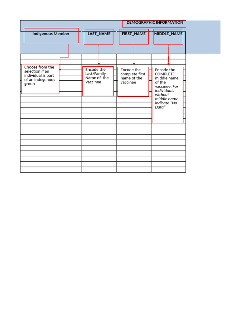 Seir Prescribed Template Ver 4 | PDF