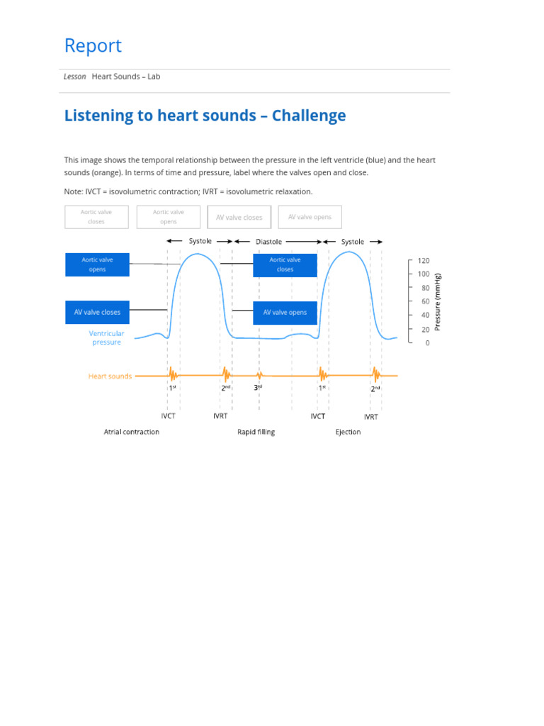 Heart Sounds Lab | PDF