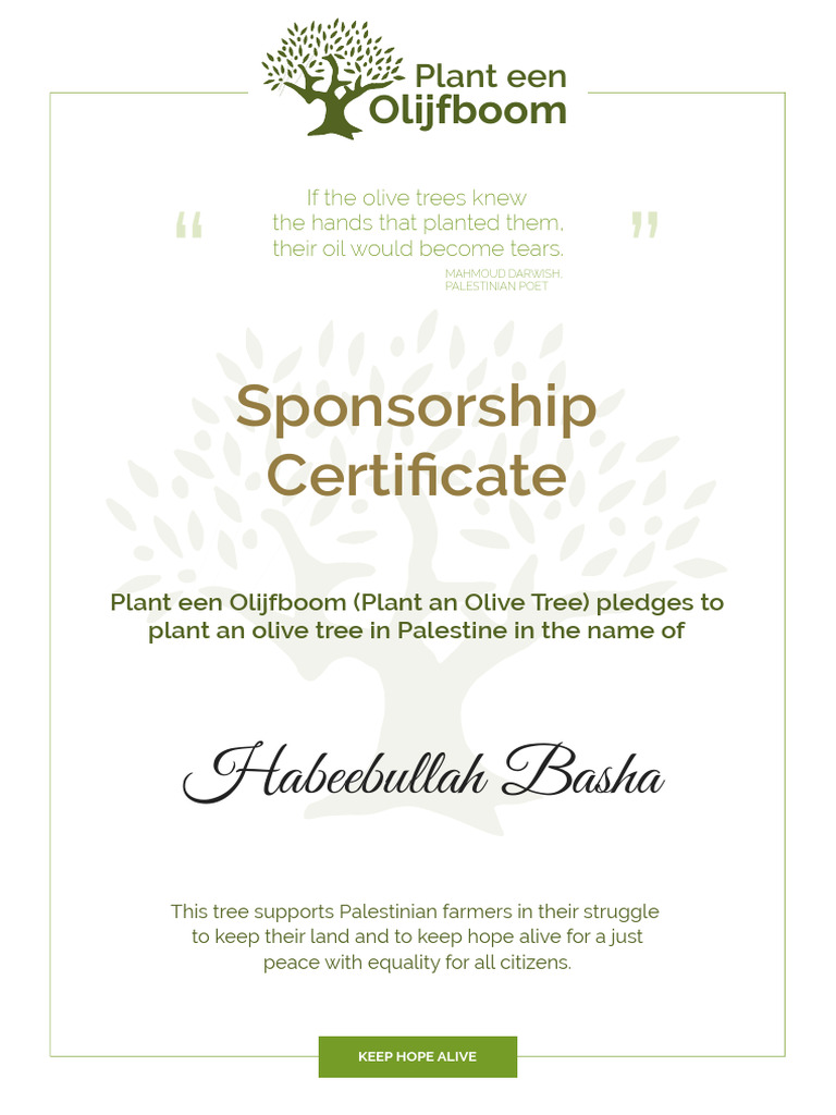 Olive Tree Certificate Habeebullah Basha | PDF