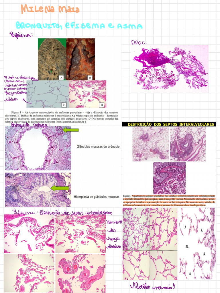 Prática Pneumo | PDF