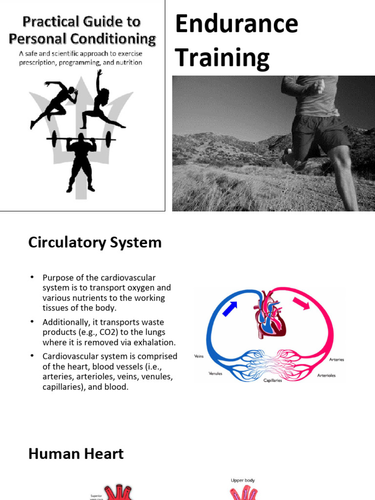 Endurance Training | PDF