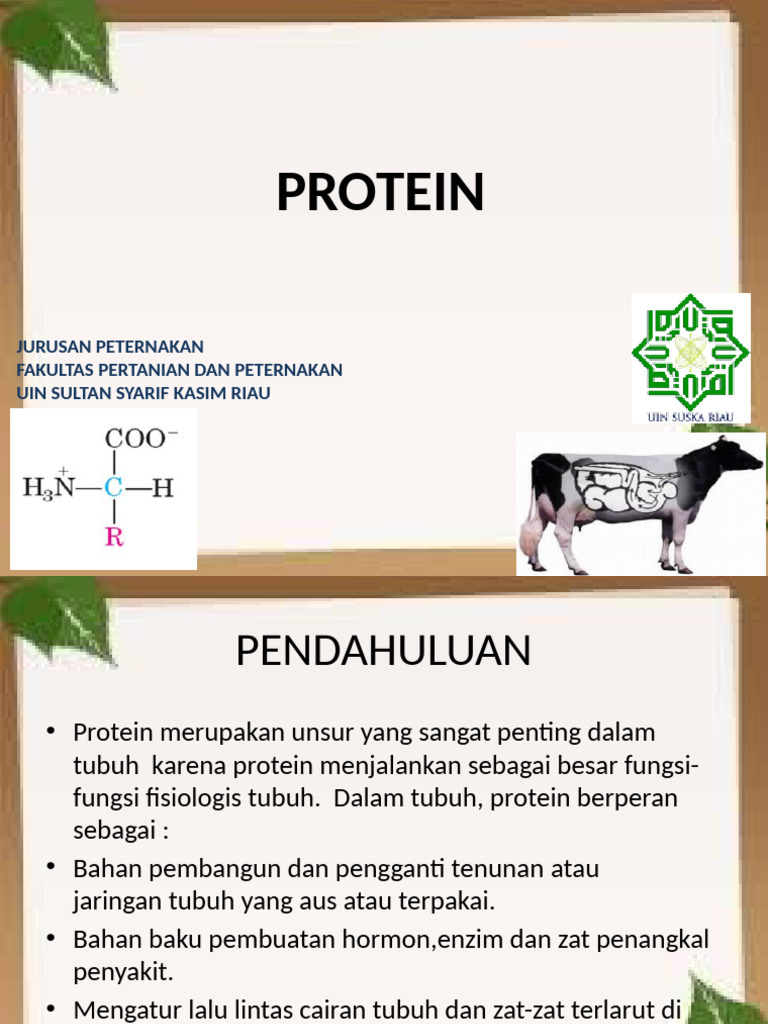 Ilmu Nutrisi Ternak - Protein | PDF