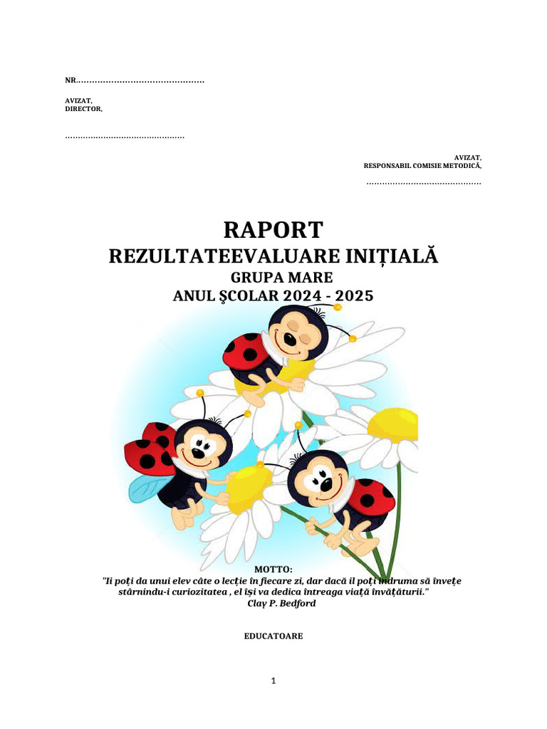 Raport Ev. Initiala | PDF