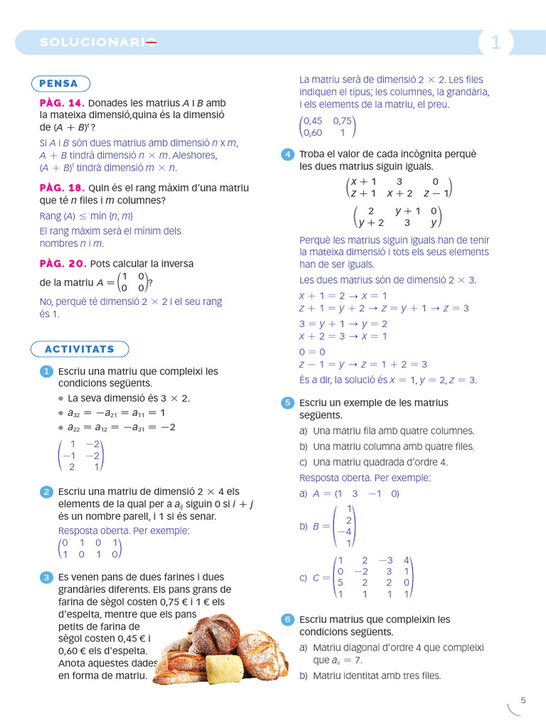 Tema 1. Matrius | PDF