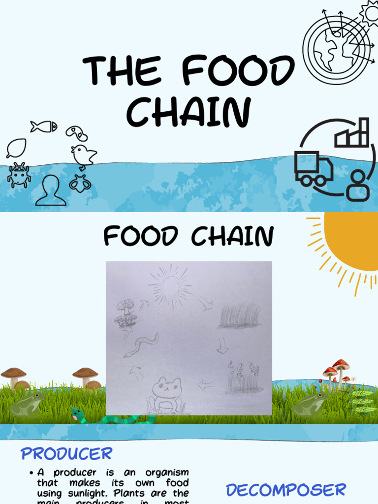 FOOD CHAIN | PDF