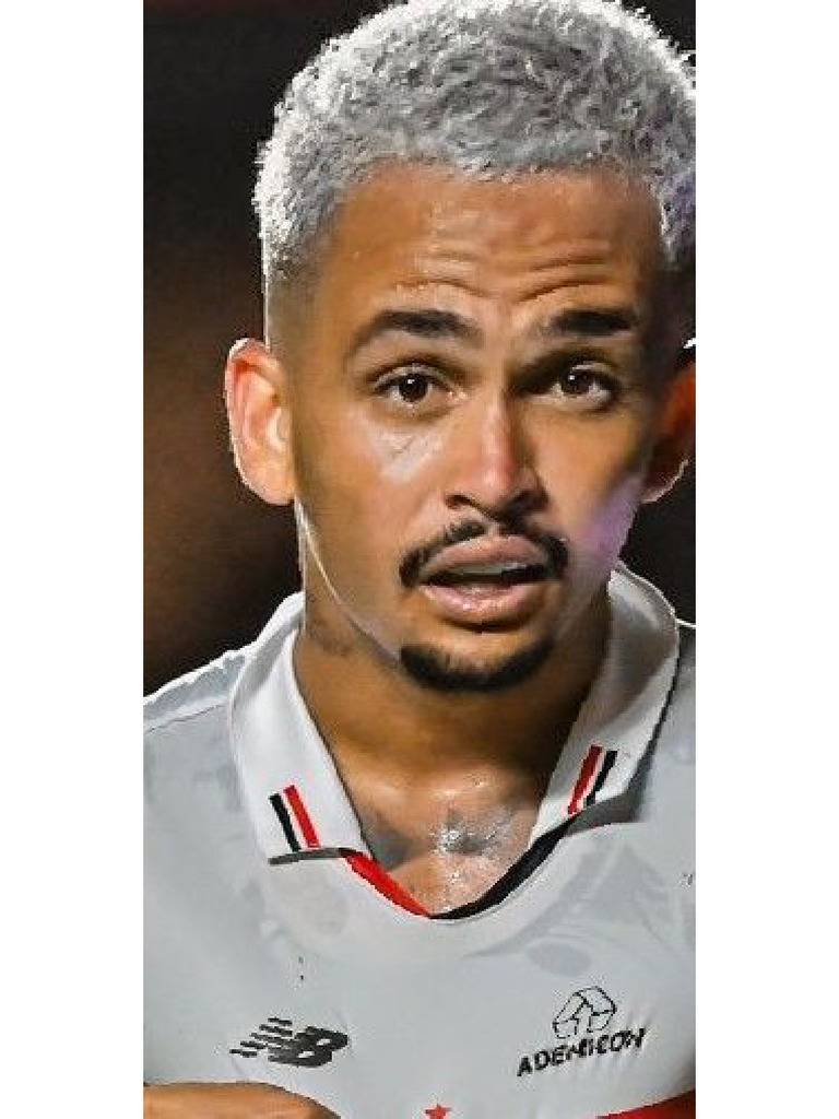 PDFReader_20241013_12242 | PDF