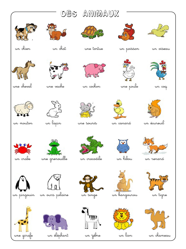 Fiche Des Animaux | PDF