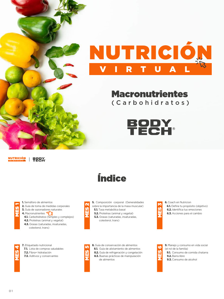 Nutrición: Virtual | PDF