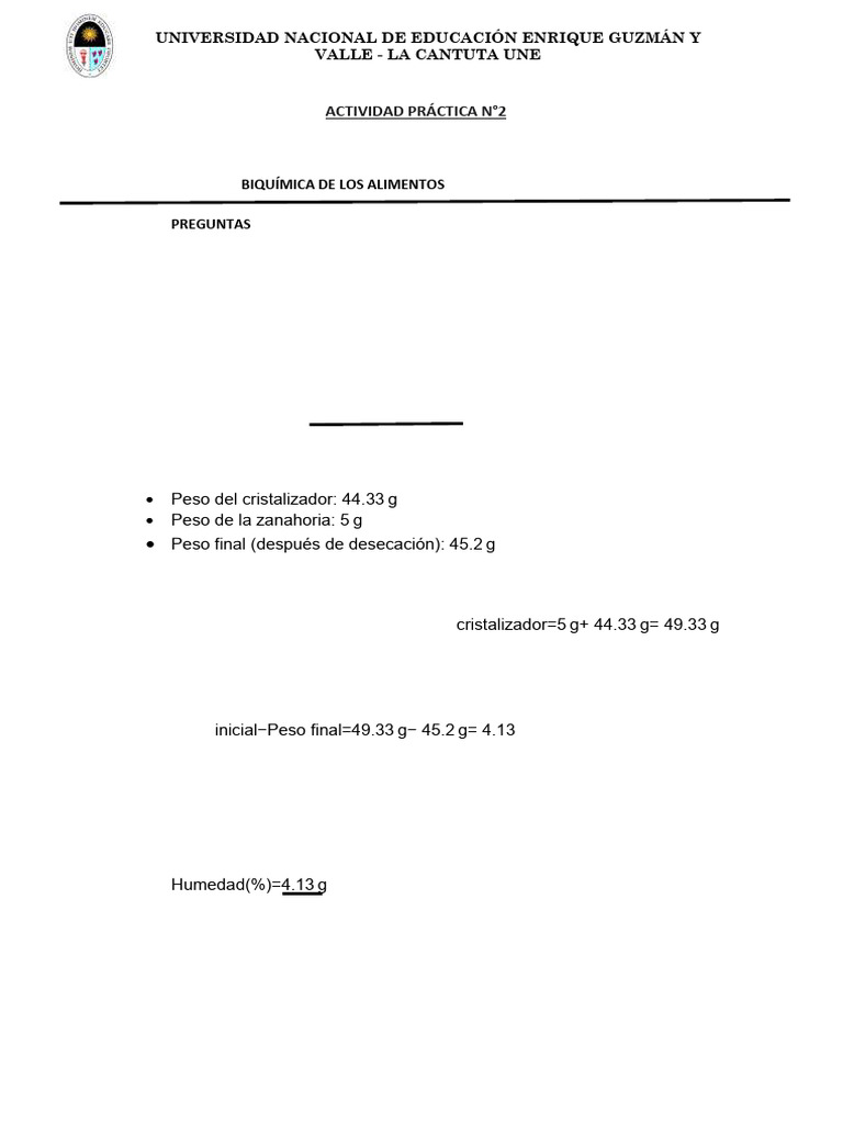 Actividad Práctica N2 | PDF