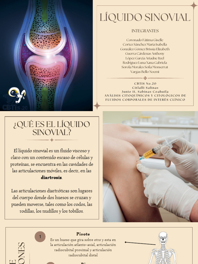 Líquido Sinovial - 20240610 - 130836 - 0000 | PDF