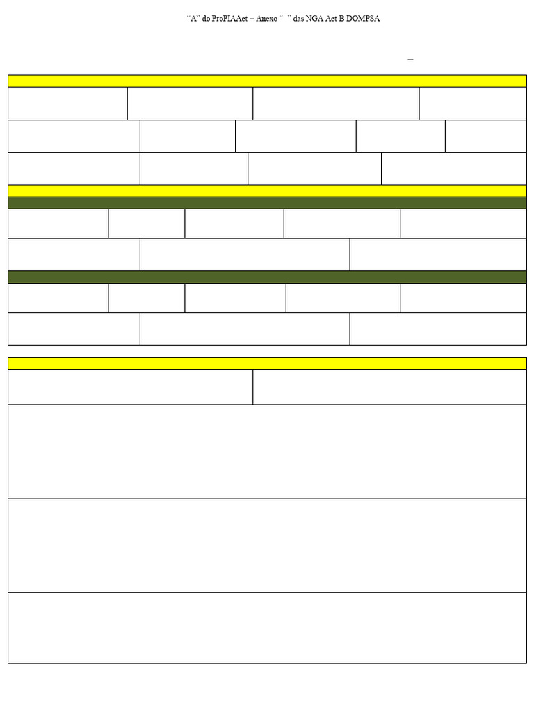 RIAP - Preenchido | PDF