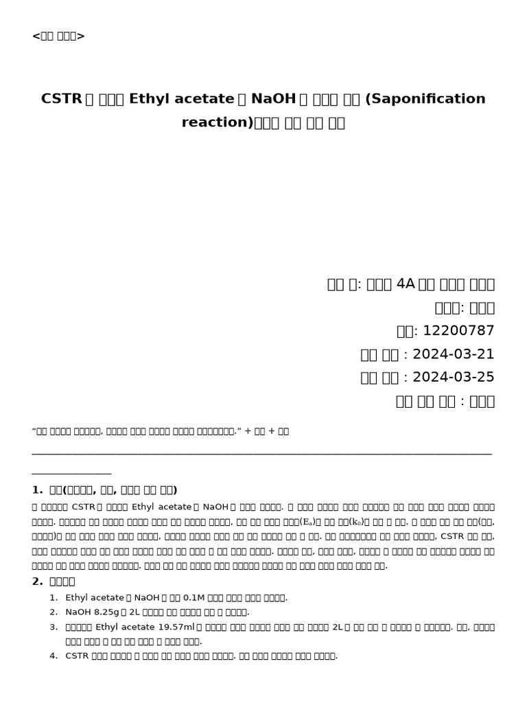 2024 - CSTR - 결과보고서 양식 | PDF