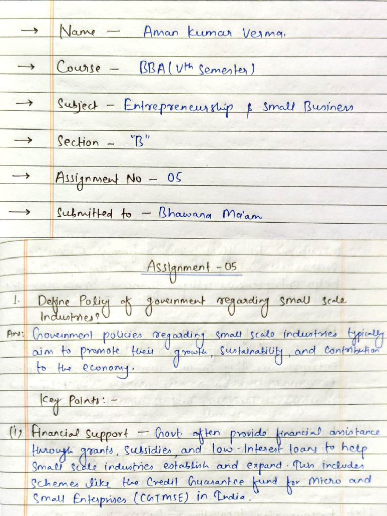 Government Policies for Small Industries | PDF | Computers