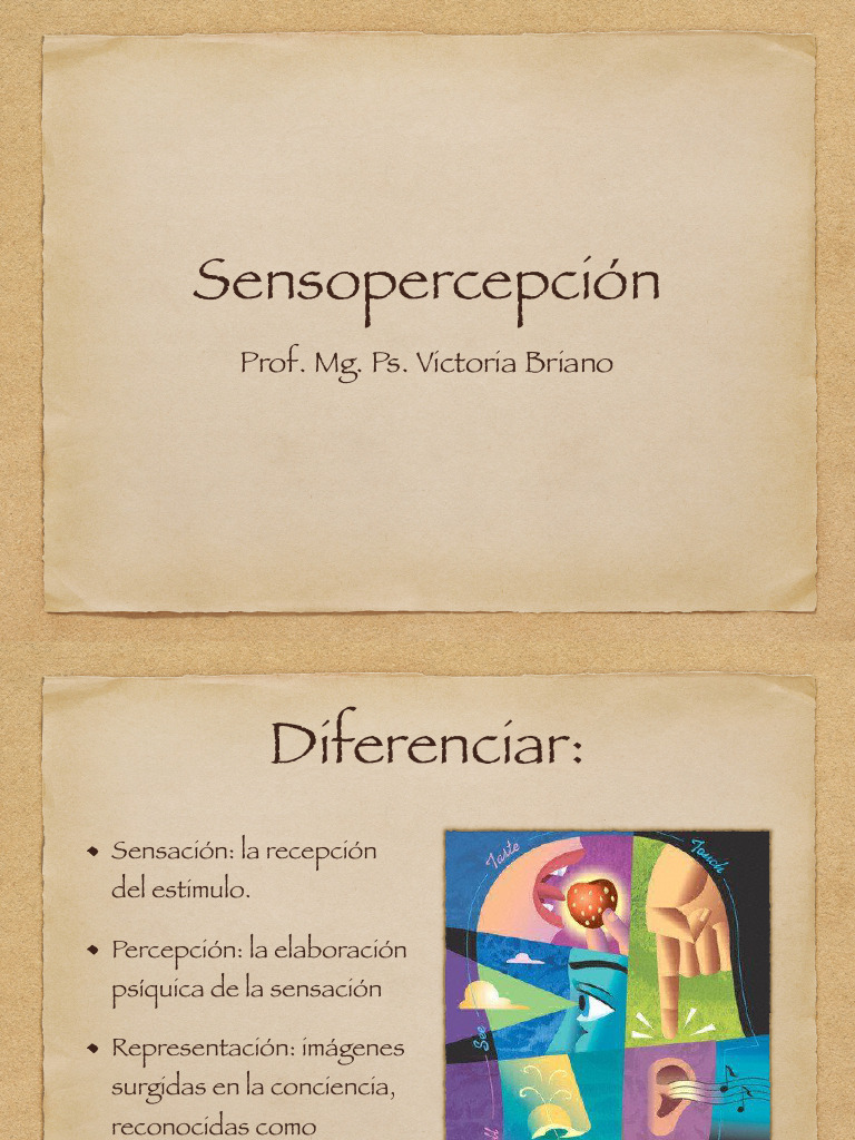 Sensopercepción | PDF