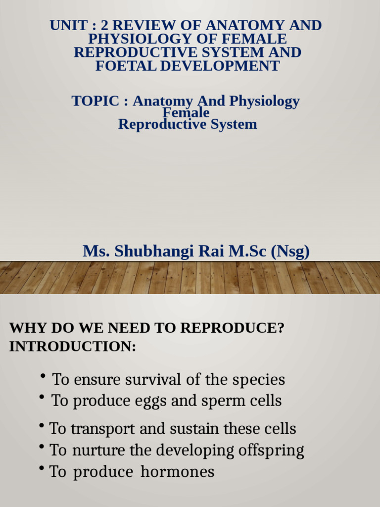 e Notes Female Reproductive System (1) | PDF