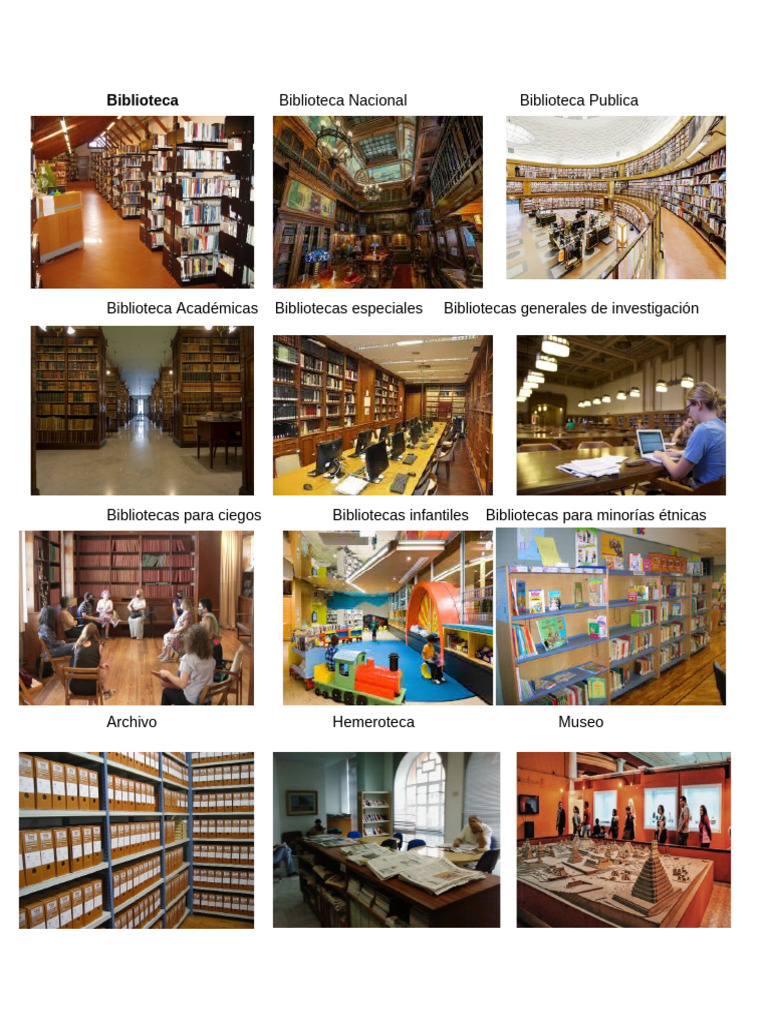 Bibliotecas | PDF