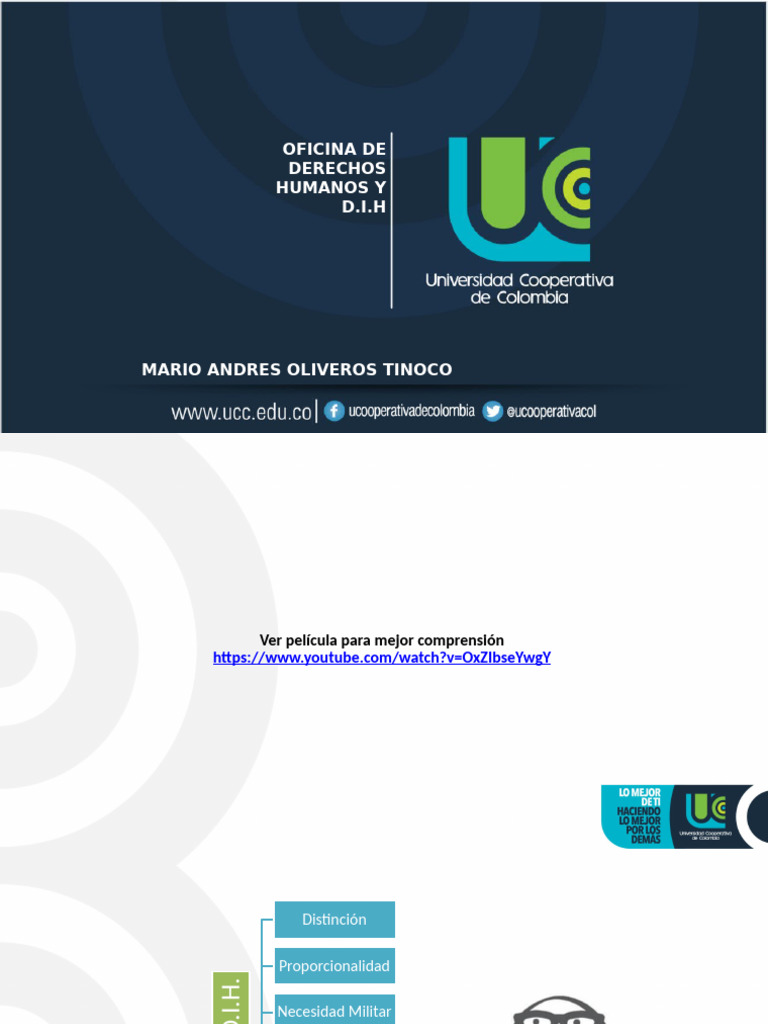 Principios Del Dih | PDF